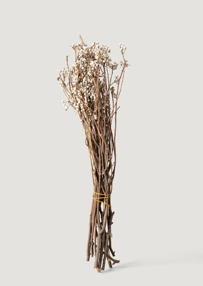 Natural Dried Flowers Tall Tallow Berry Bundle - 23-27.5" | lily & onyx